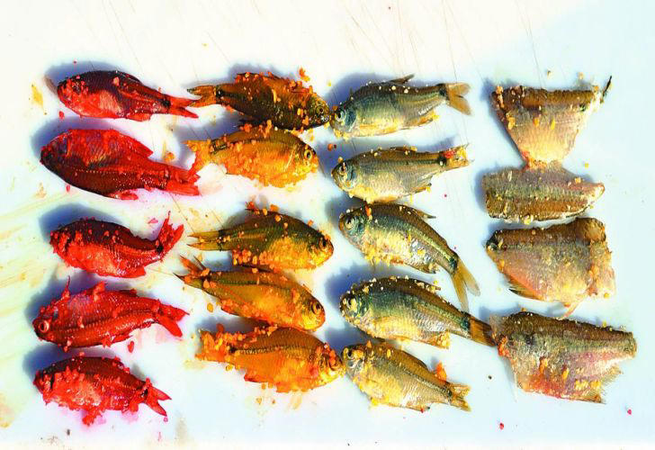 Los secretos del peje de La Tigra