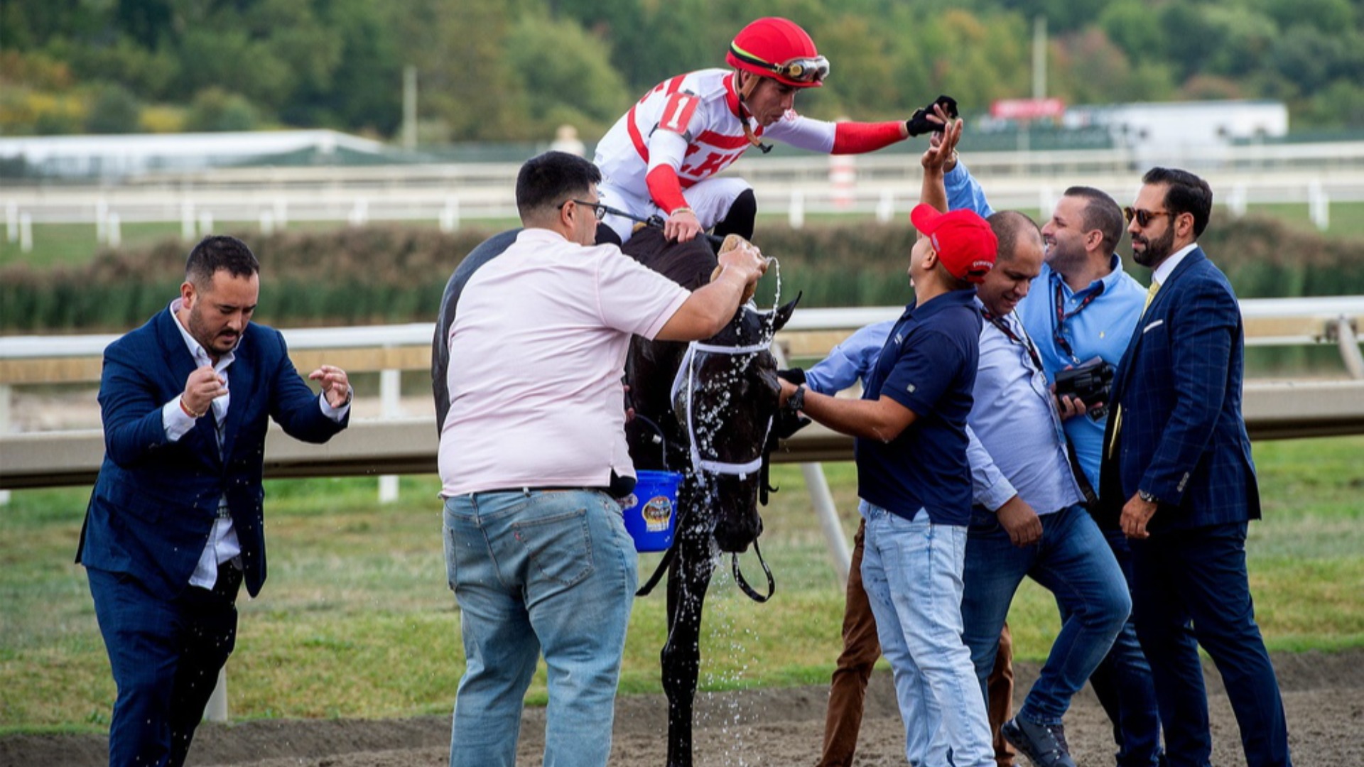 Analyzing Scottish Lassie's Edge Amongst Her Competitors