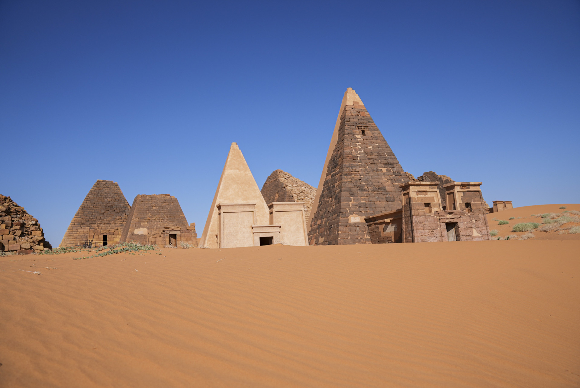 True facts that seem too weird to be real