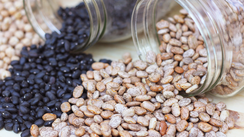 Black Beans Vs Pinto Beans: Everything You Need To Know