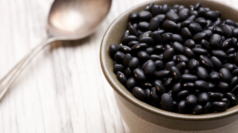 Black Beans Vs Pinto Beans: Everything You Need To Know