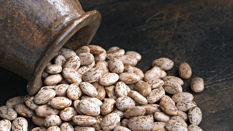 Black Beans Vs Pinto Beans: Everything You Need To Know