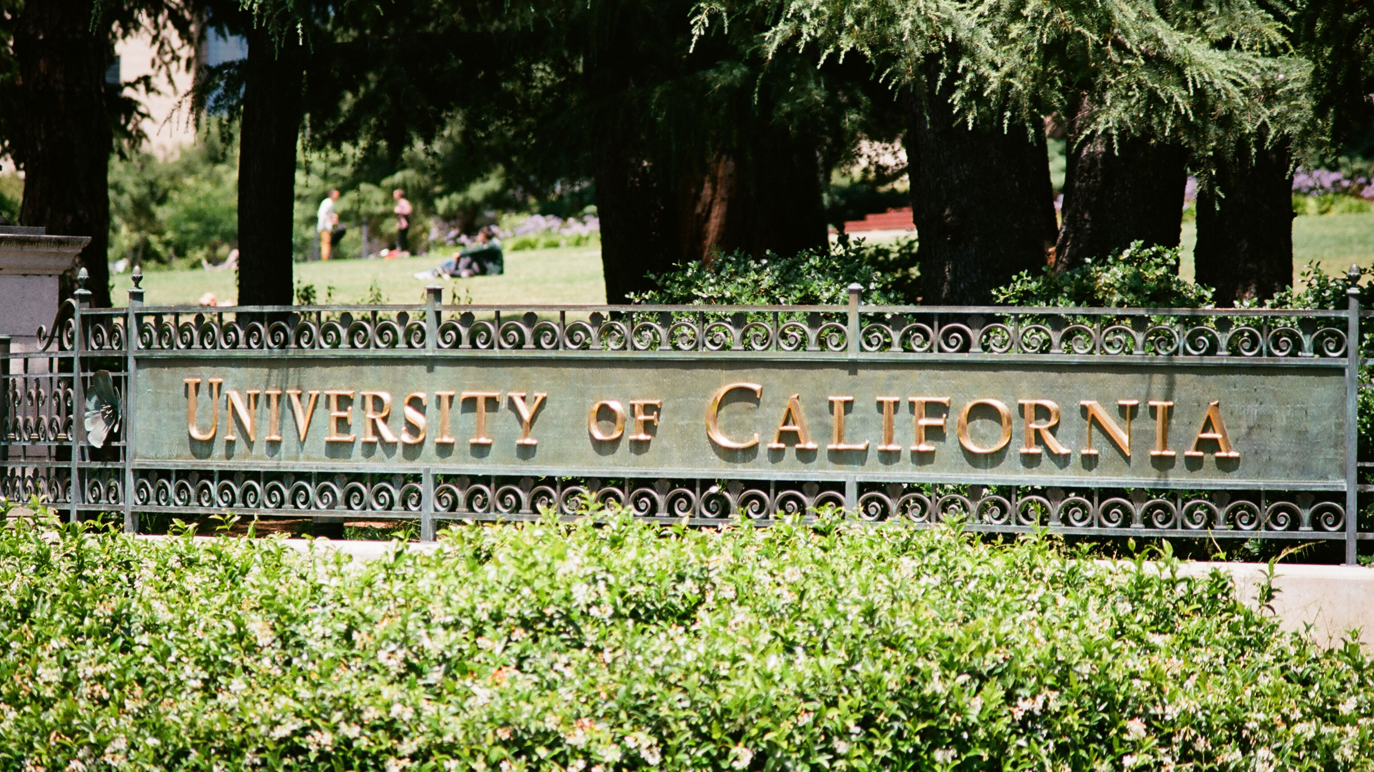 University of California students, professors and staff sue Trump ...