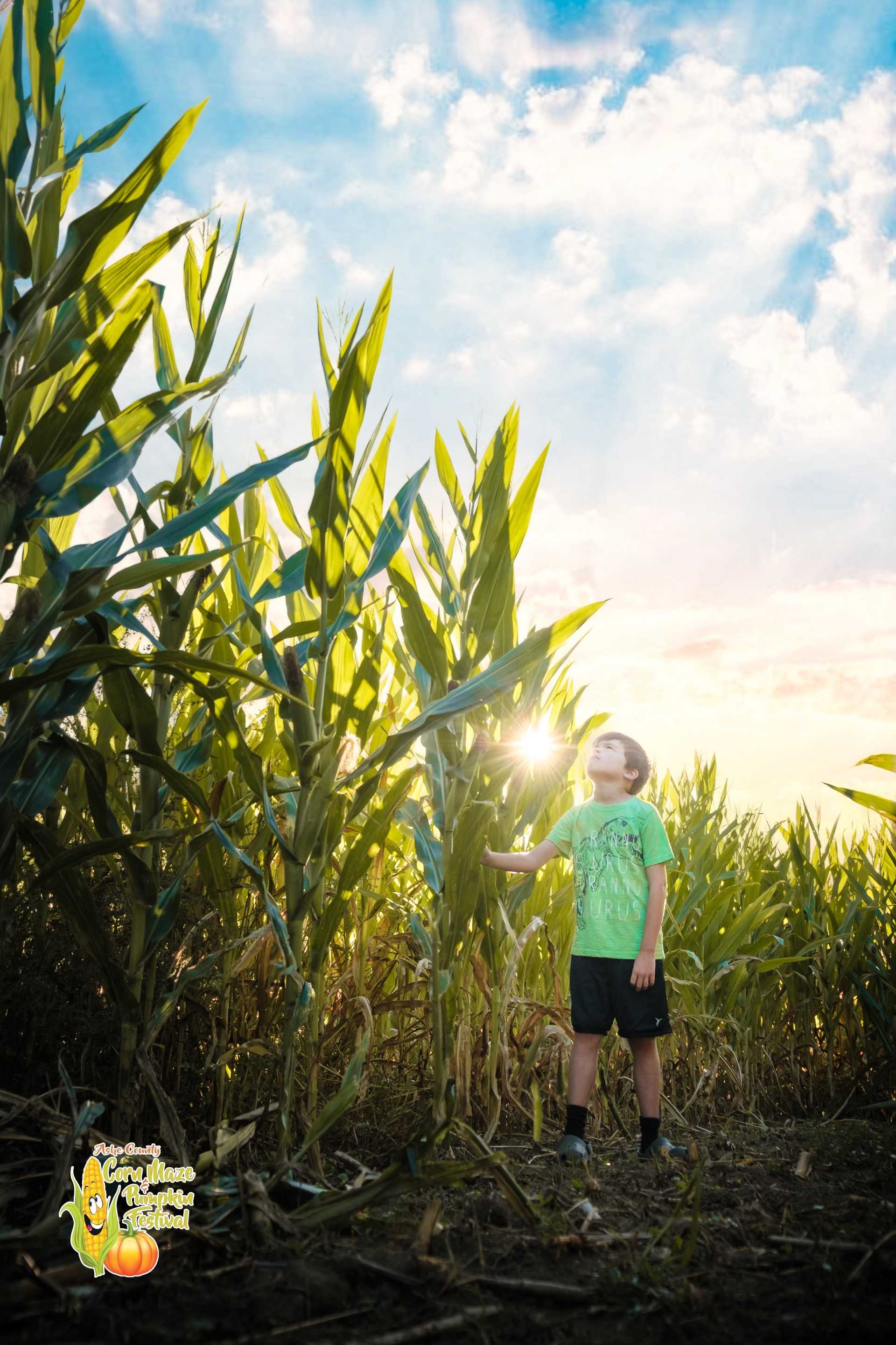 10 Amazing North Carolina corn mazes. Find out when and where they open