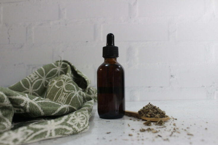 How to Make a Simple Mullein Tincture (Alcohol or Glycerin-Based)