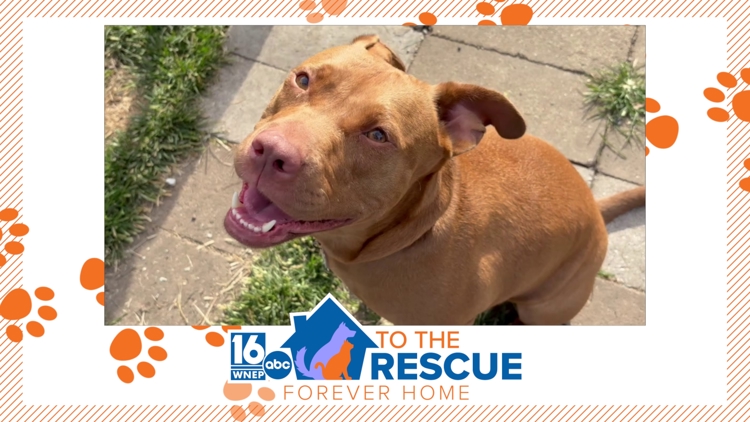 16 To The Rescue: MJ