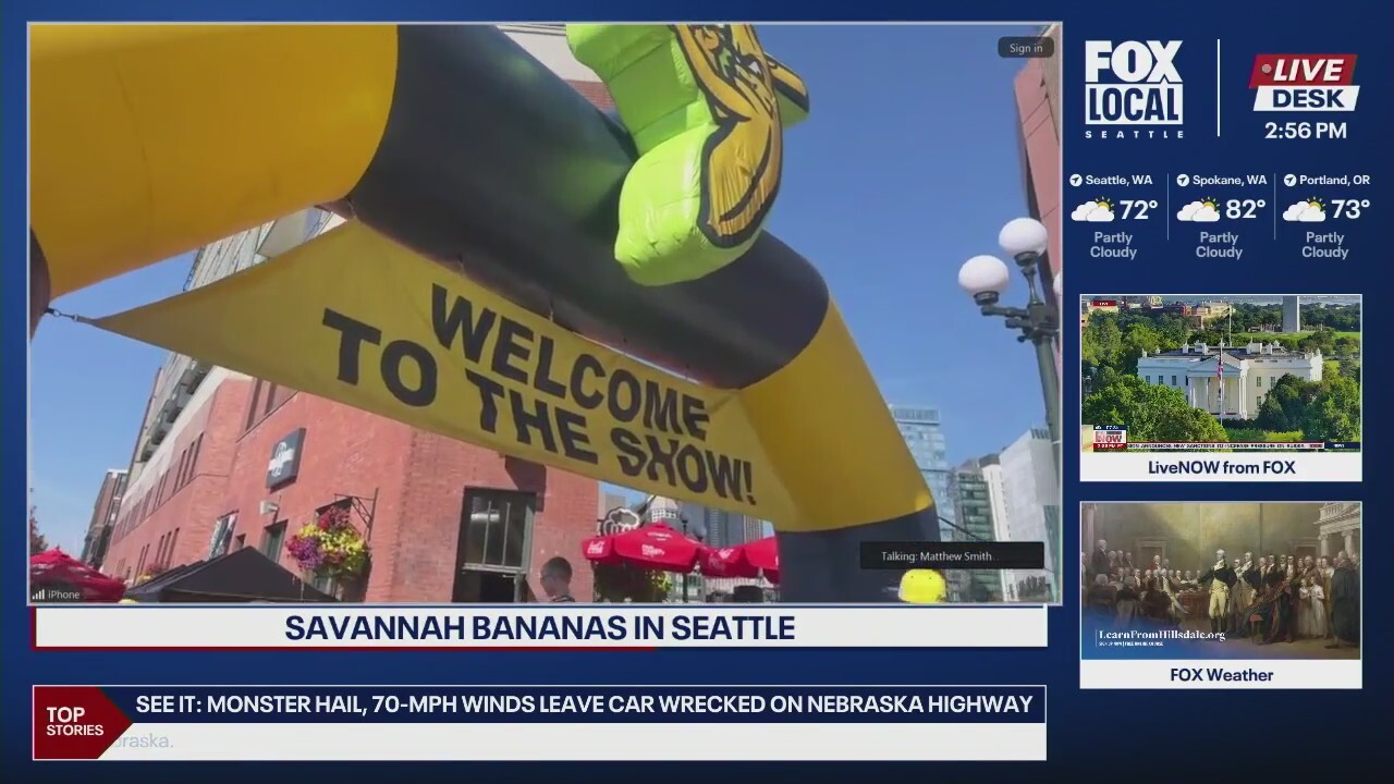 Savannah Bananas take over Seattle