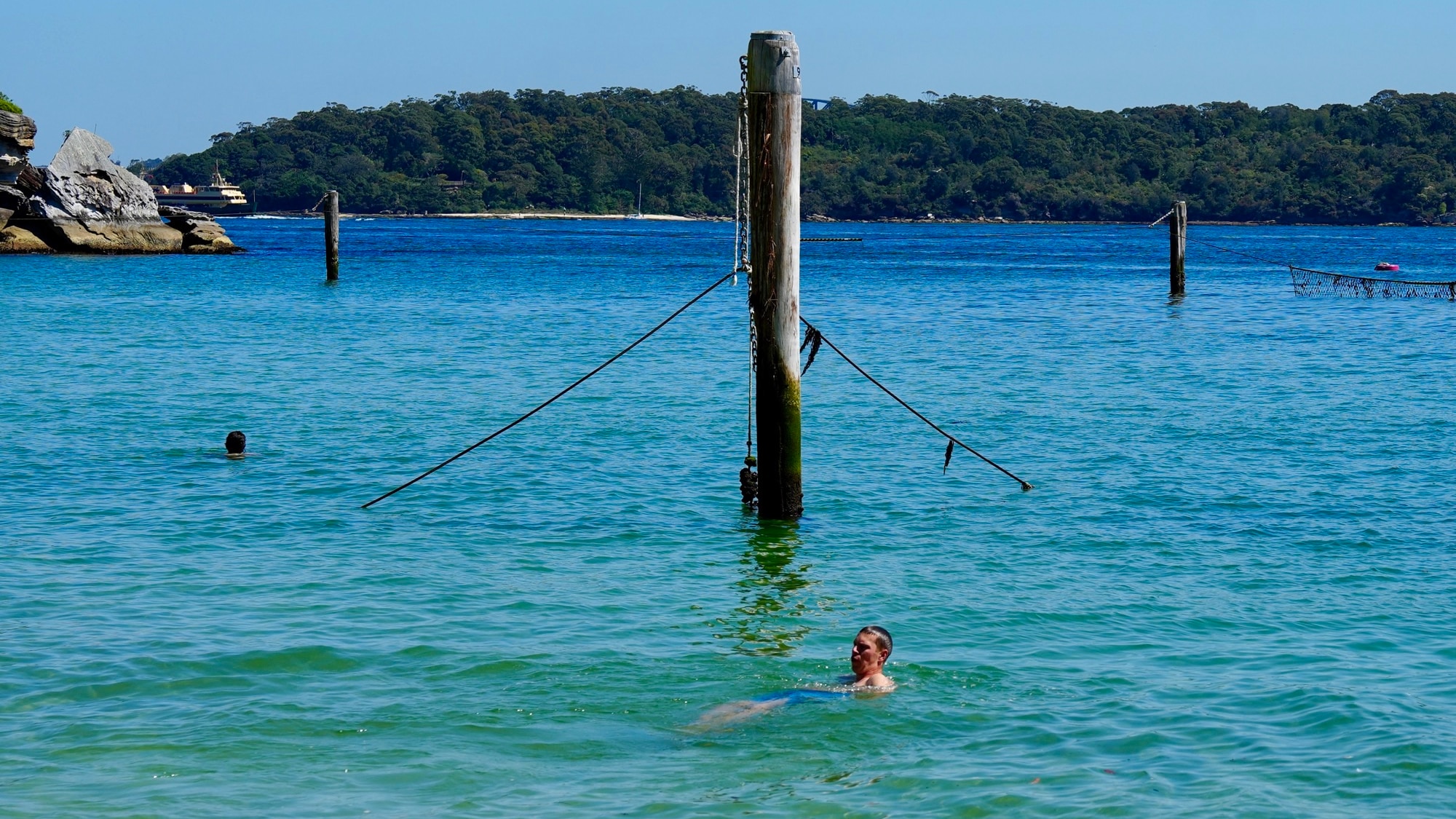 Storm damage sees shark net installation delay at Sydney's Shark Beach ...