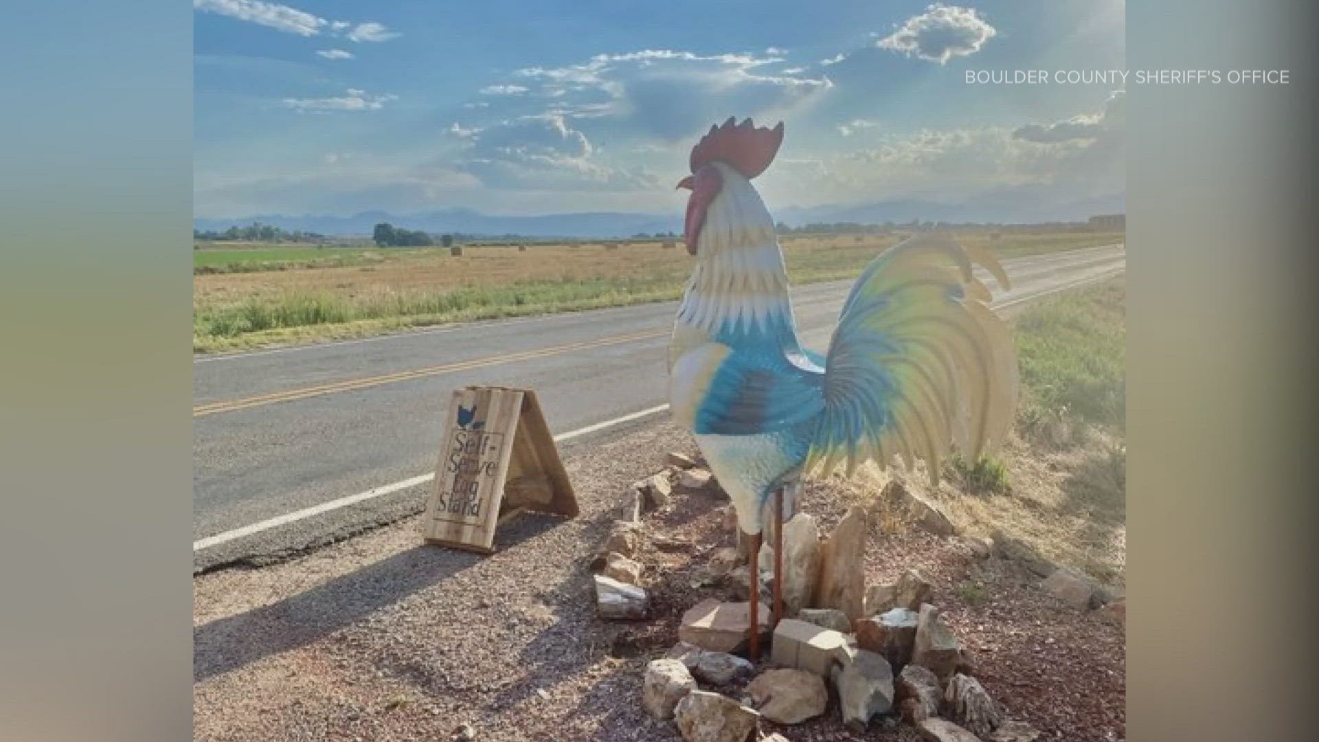 6-foot metal rooster stolen in Boulder