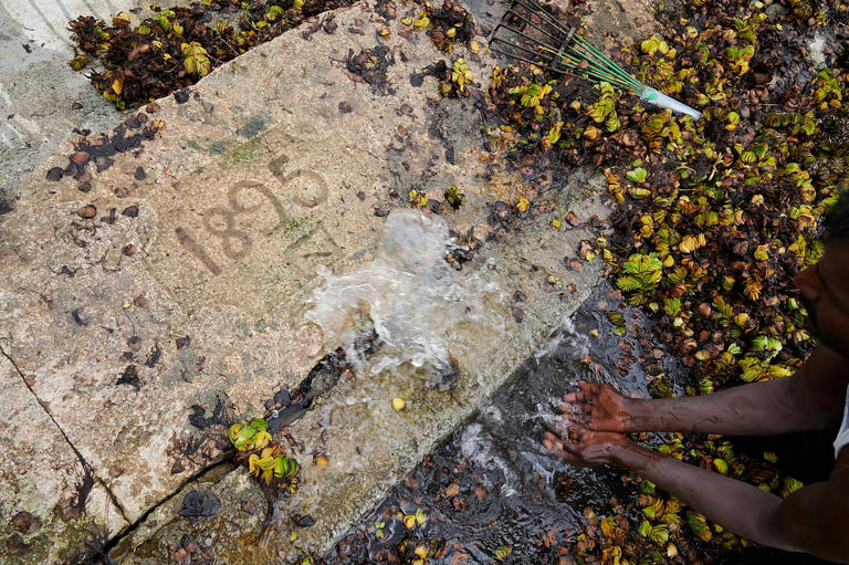 'Critical for water needs': As climate risks grow, Bengaluru is trying ...