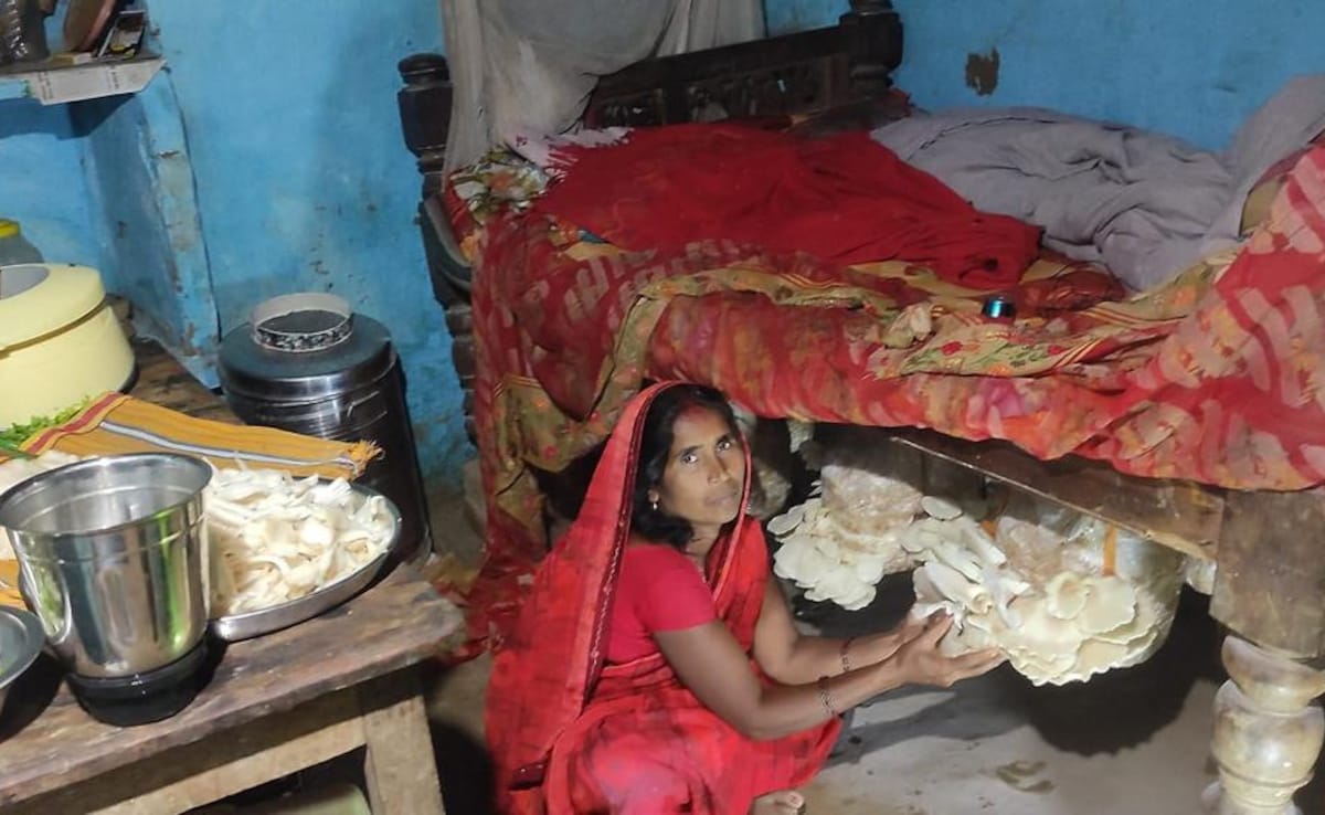 Meet Bihar's 'Mushroom Lady' Bina Devi, Who Is Now Empowering 70,000 ...