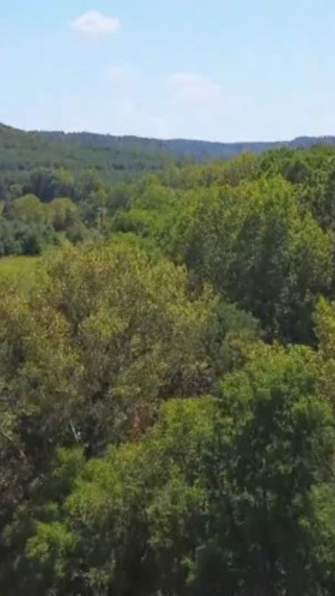 Joy Valley Nature Preserve: A new Ohio landmark protects ancient ...
