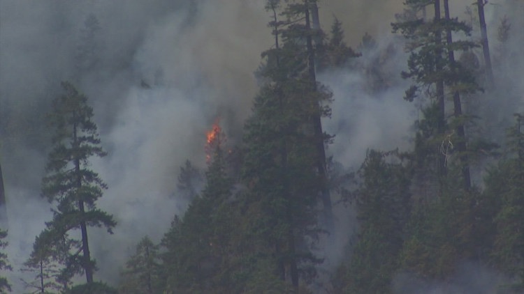 Wildfires burn across Washington as crews battle flames in Olympic ...