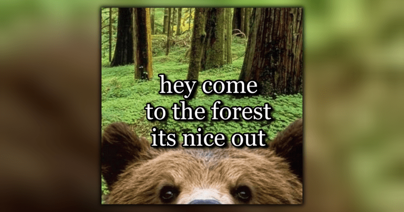 23 Bear-y Funny Bear Memes to Sweeten Up Your Saturday