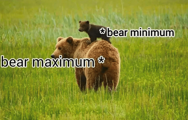 23 Bear-y Funny Bear Memes to Sweeten Up Your Saturday