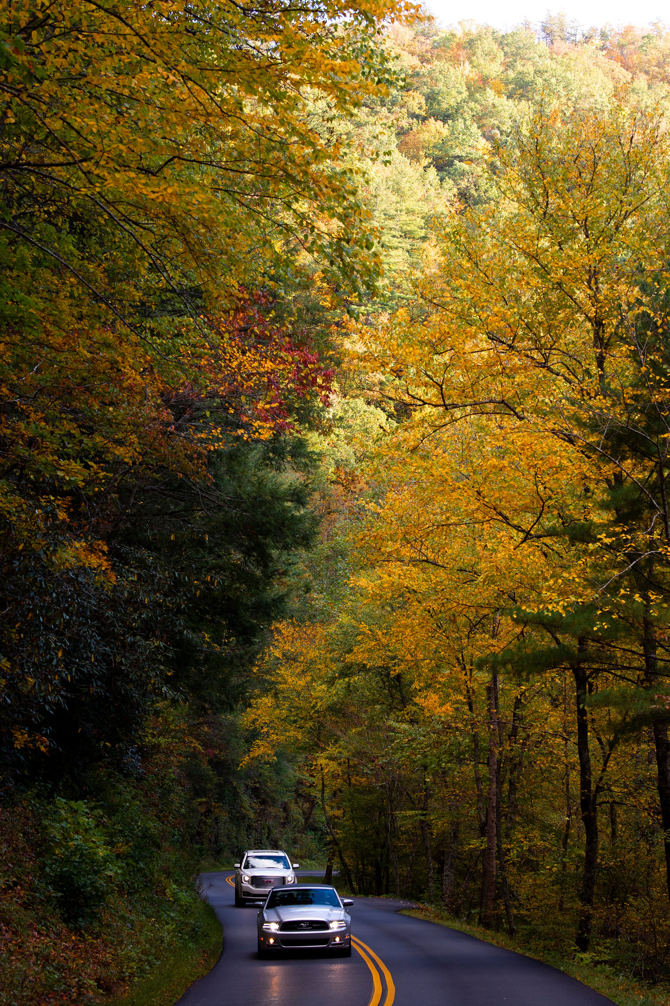Trips through Great Smoky Mountains might be delayed by road closures