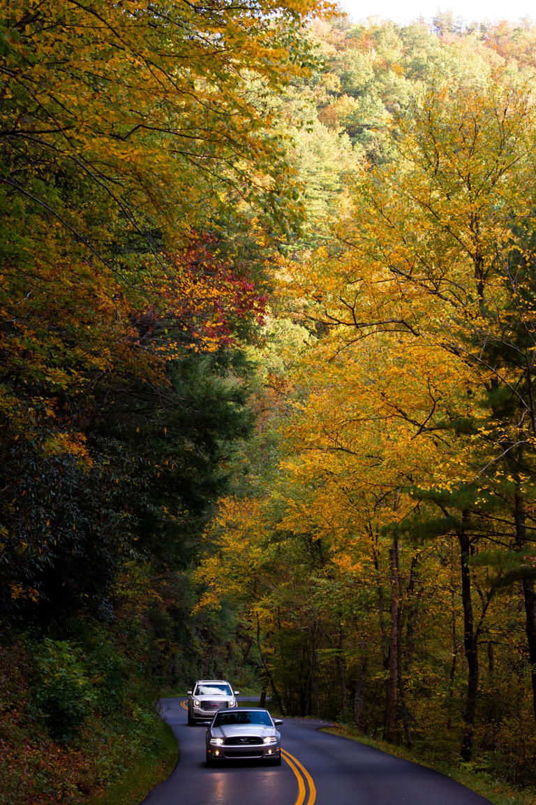 Trips through Great Smoky Mountains might be delayed by road closures