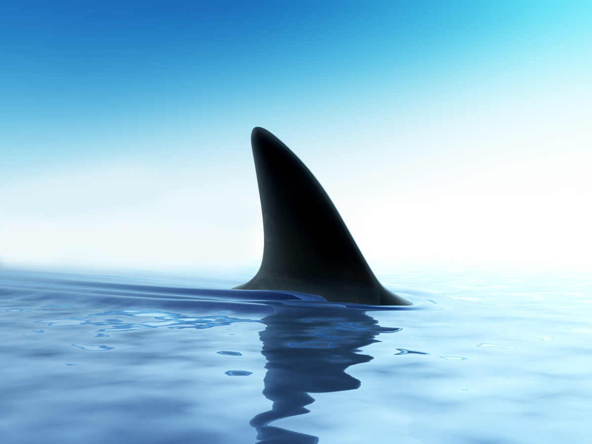 16-year-old shark attack survivor reveals what kept her alive after ...