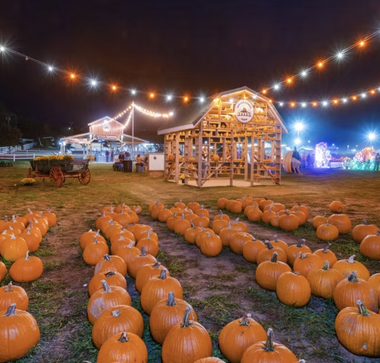 SC has one of the 5 best pumpkin patches in the US for 2025, USA Today says