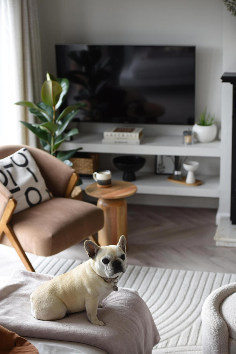 What I Own: At 35, I own five homes worth £1,000,000