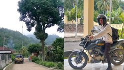 Polisi Polsek Semaka Terekam Viral Bantu Ibu Hamil Ambil Mangga ...