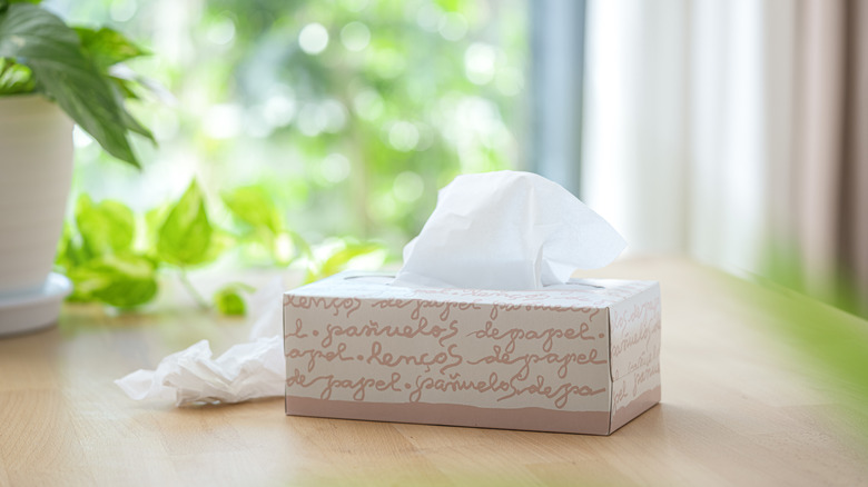 Keep Bathroom Clutter At Bay With One Clever Tissue Box Hack