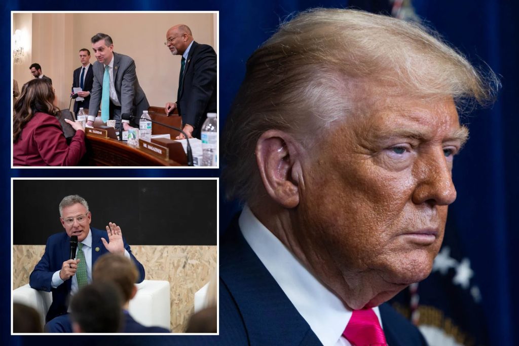 Democrats’ fear of Trump clean energy crackdown holds up permitting ...