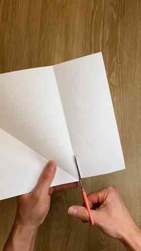 Paper plane that actually flies