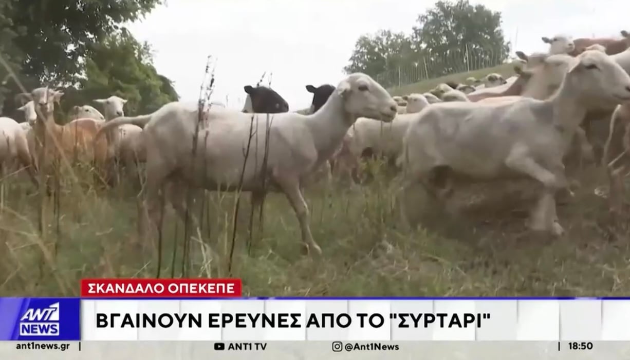 Αλλο ένα επικοινωνιακό αφήγημα της κυβέρνησης, αυτό της εξυγίανσης του ...