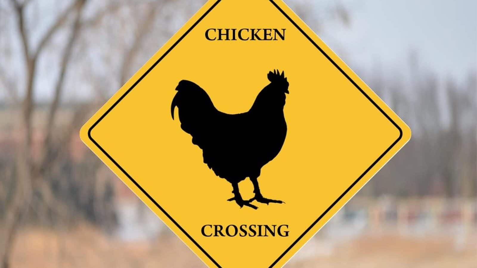 20 Unusual U.S. Road Signs With Odd Warnings