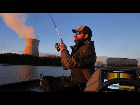 Seven fish species caught using variety of fishing techniques