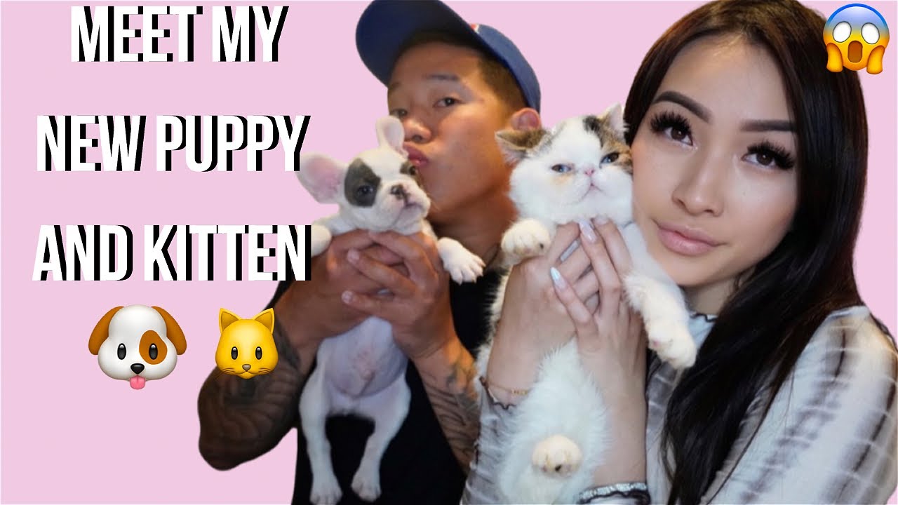 Watch what happened when we brought home a French bulldog puppy and a ...