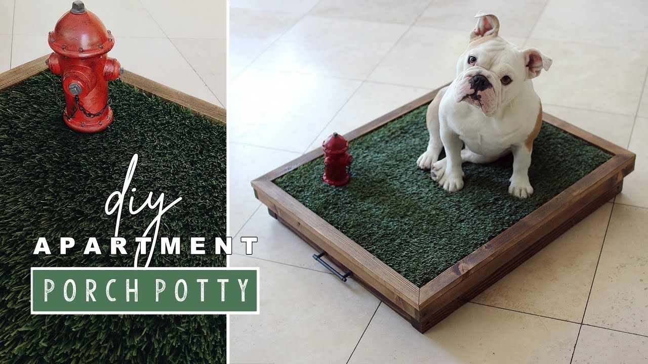 Can your dog use this DIY potty?