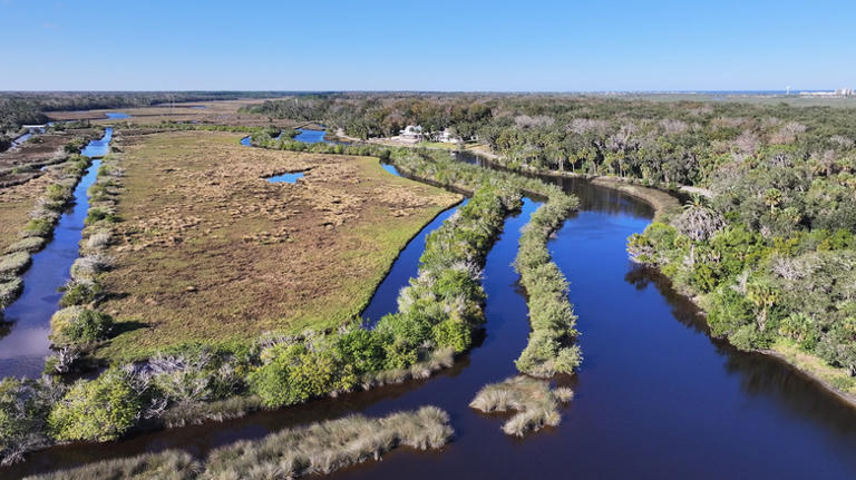Florida's Ethereal Road That Winds Beneath A Spanish Moss Canopy Is One ...