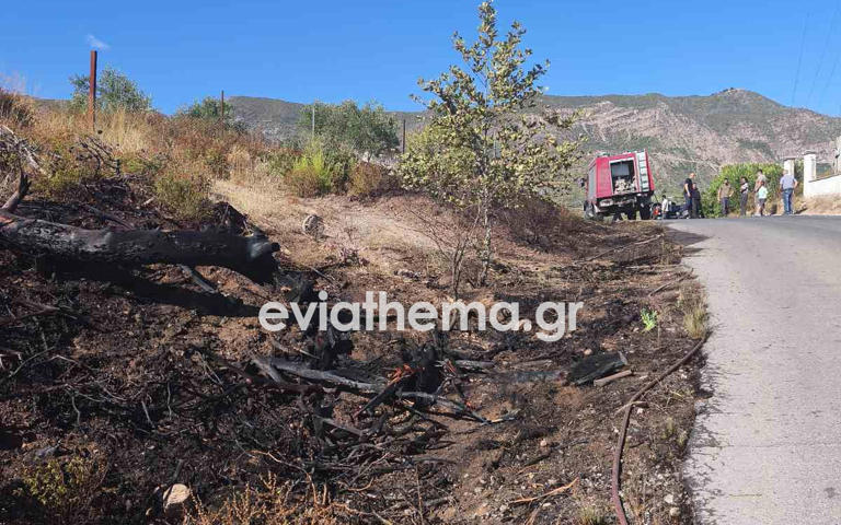 Φωτιά στη Βόρεια Εύβοια: Άμεση επέμβαση της Πυροσβεστικής