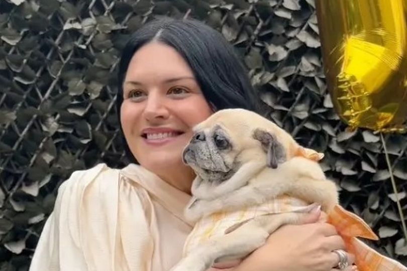 NYC couple throws extravagant bark-mitzvah for 13-year-old pug that ...