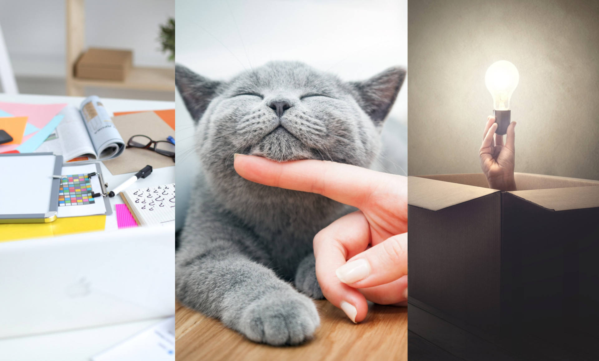 Ces traits de caractères surprenants montrent que vous avez un QI élevé