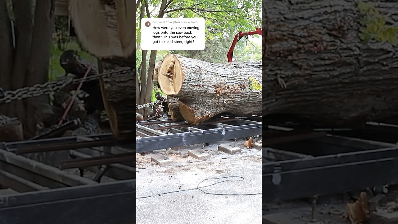 Moving logs before machinery #sawmill