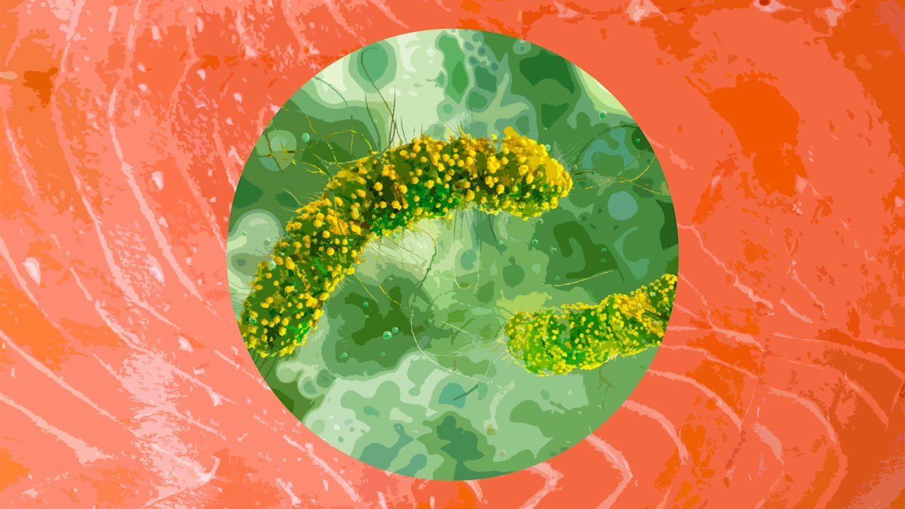 Fish recalled nationwide over Listeria fears, including smoked salmon ...