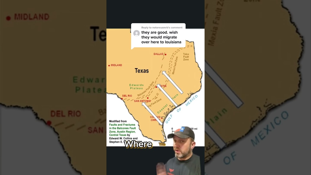 Axis Deer Facts in Texas