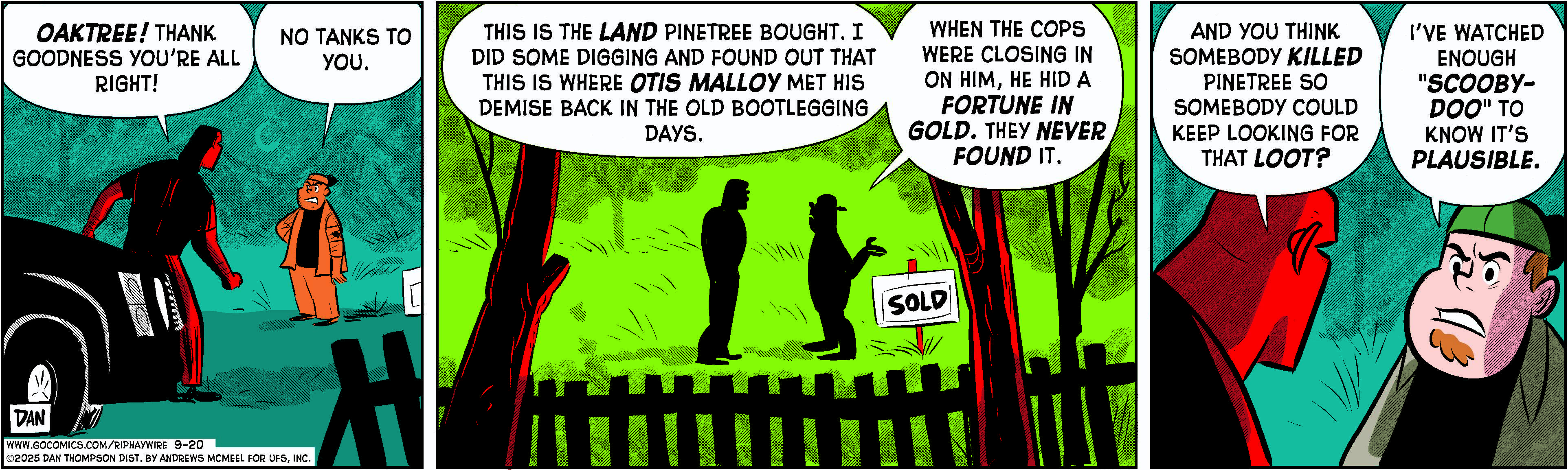 Rip Haywire by Dan Thompson