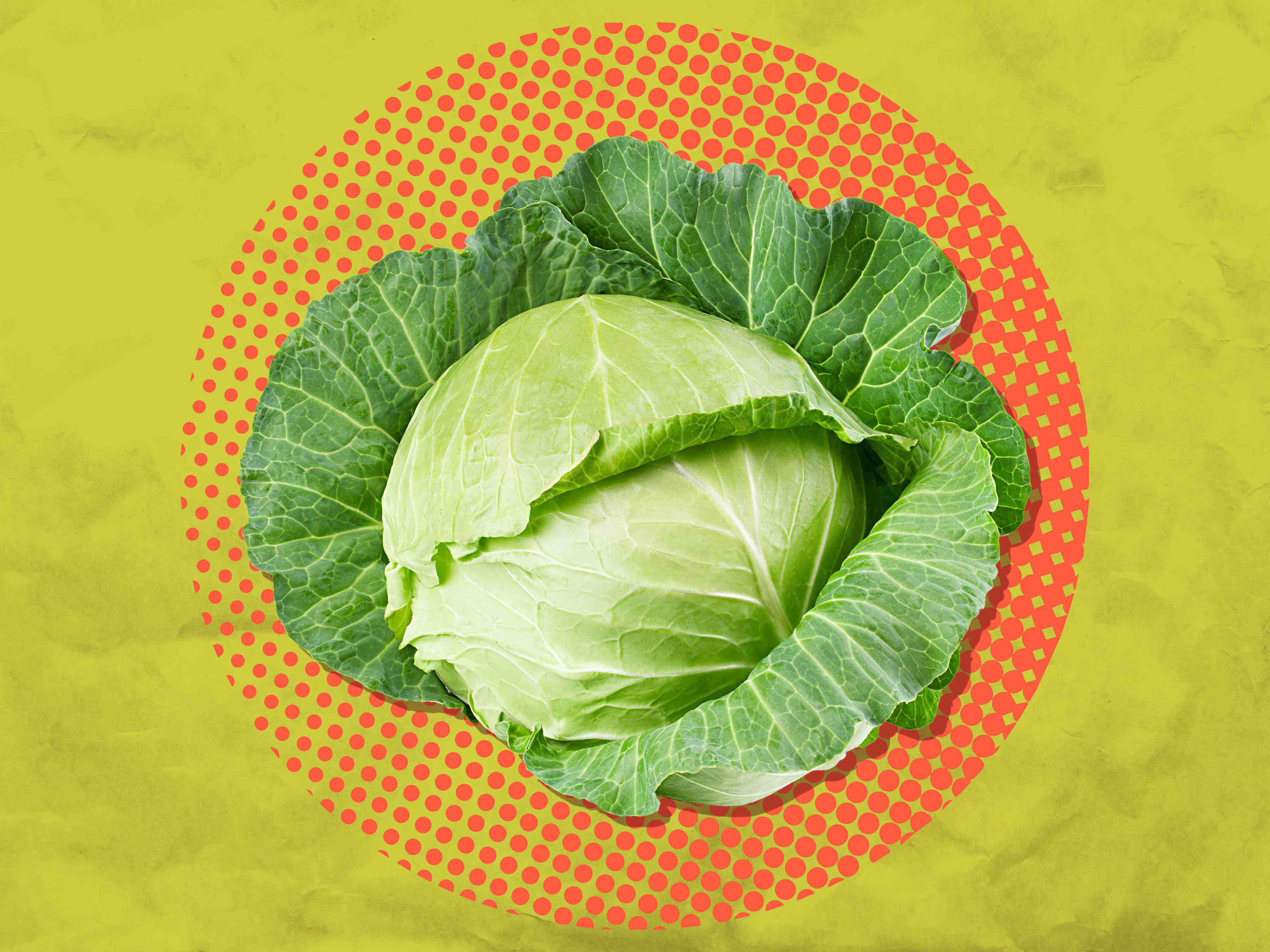 A New Cabbage Is Coming To Stores—but It Doesn’t Taste Like Cabbage
