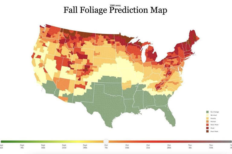 When does fall officially start? When is the fall equinox? Here's what ...