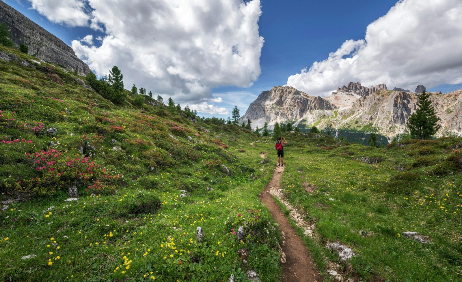 Gorgeous Trails Across 14 States Perfect for Adventure Seekers