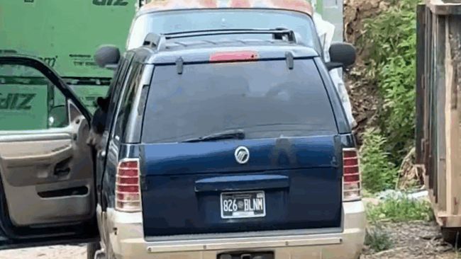 Dumpster-Diving Bear Breaks Into Car, Seizes Driver's Seat