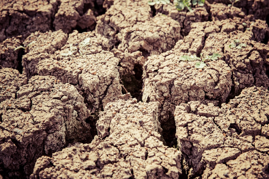 How Agricultural Practices Contribute to Soil Degradation