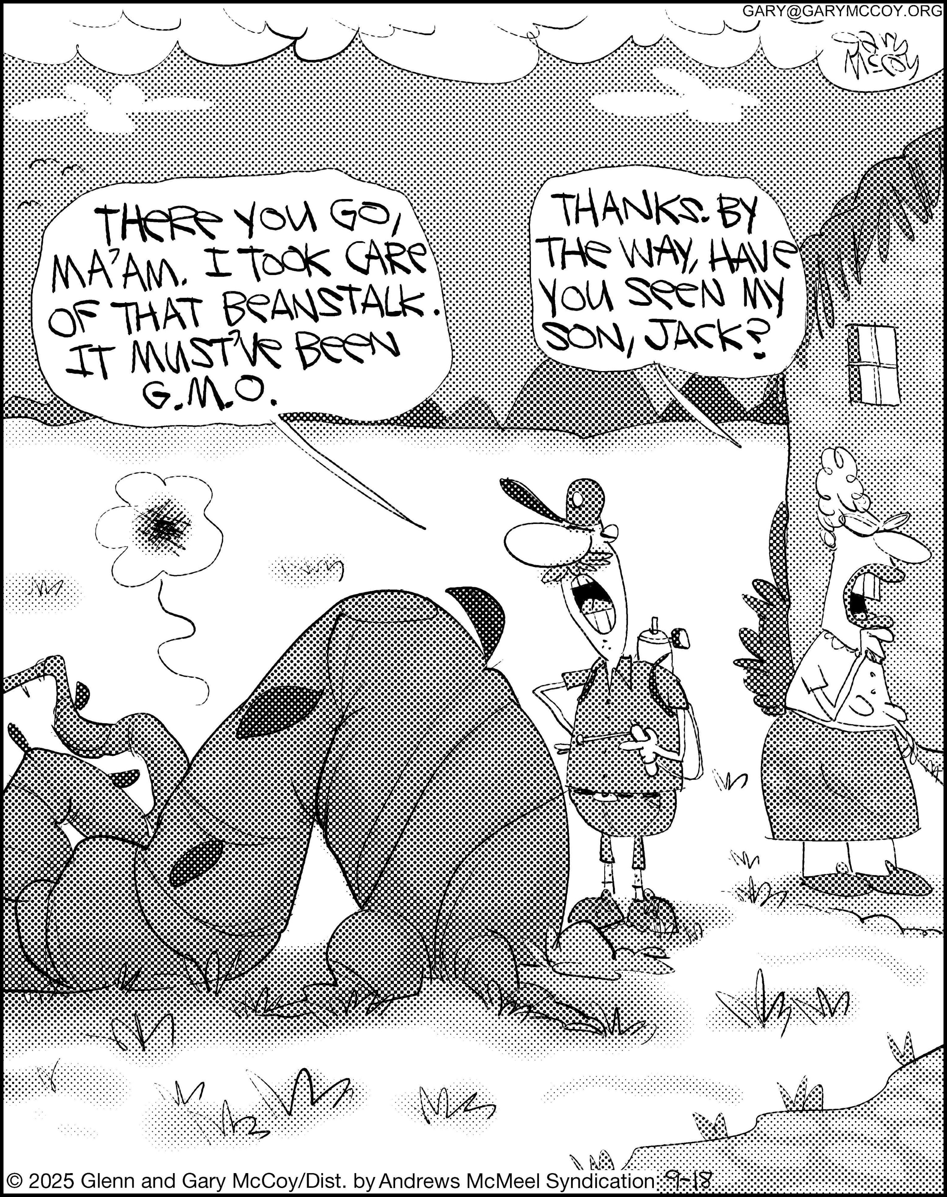 The Flying McCoys by Glenn and Gary McCoy