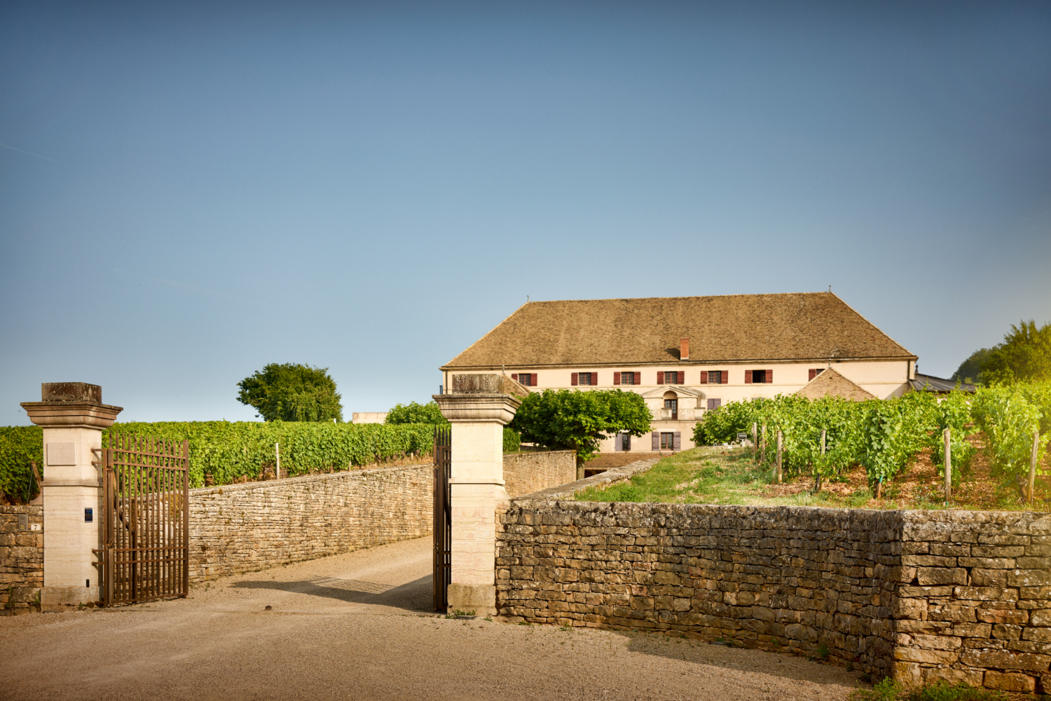 How a 12th-generation French winemaker pairs food and wine for fall