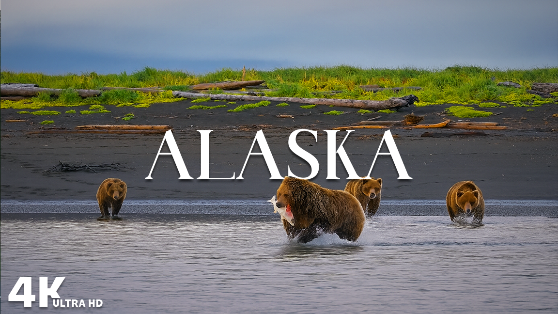 What Nature Looks Like in Alaska – Captured in 4K
