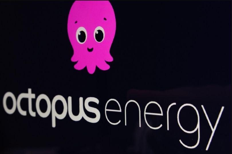 Octopus Energy issues 'groundbreaking' announcement with customers set ...